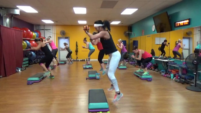 HIIT Step/Bicep Weight Circuits – 2 Lazy 4 the Gym