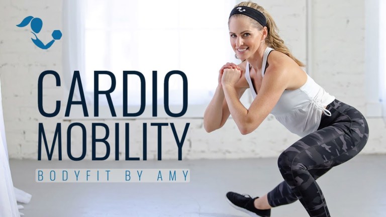 BodyFit by Amy – 2 Lazy 4 the Gym