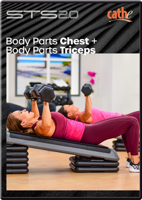 STS 2.0: Body Parts Chest + Body Parts Triceps – 2 Lazy 4 the Gym